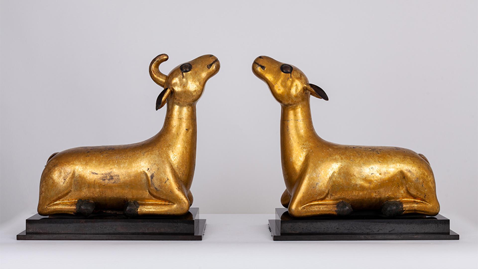 Projets pédagogiques | Musée des arts asiatiques